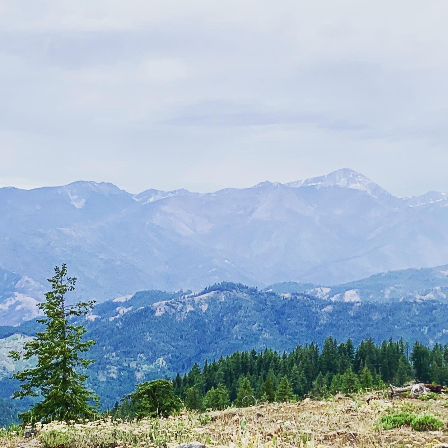 Louis Lake and Thompson Ridge – Biggi Hikes