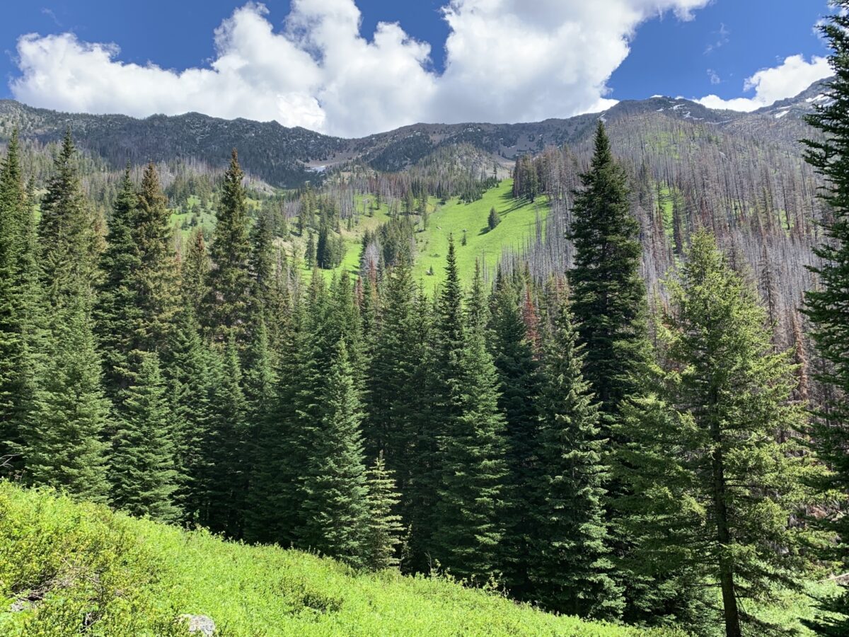 North Lake – Biggi Hikes